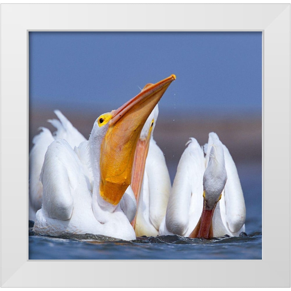 Fitzharris, Tim 15x15 White Modern Wood Framed Museum Art Print Titled ...