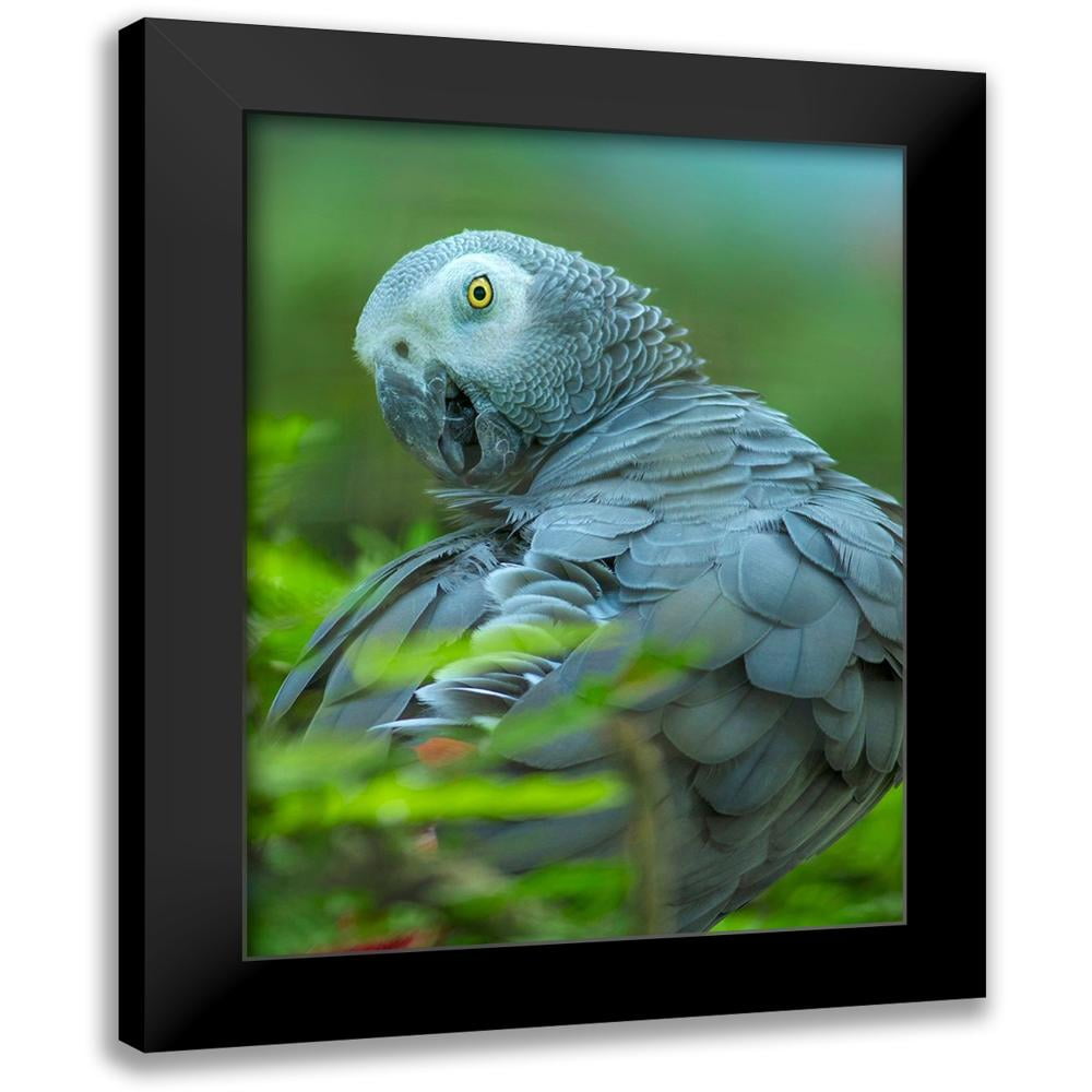 Fitzharris, Tim 15x18 Black Modern Framed Museum Art Print Titled ...