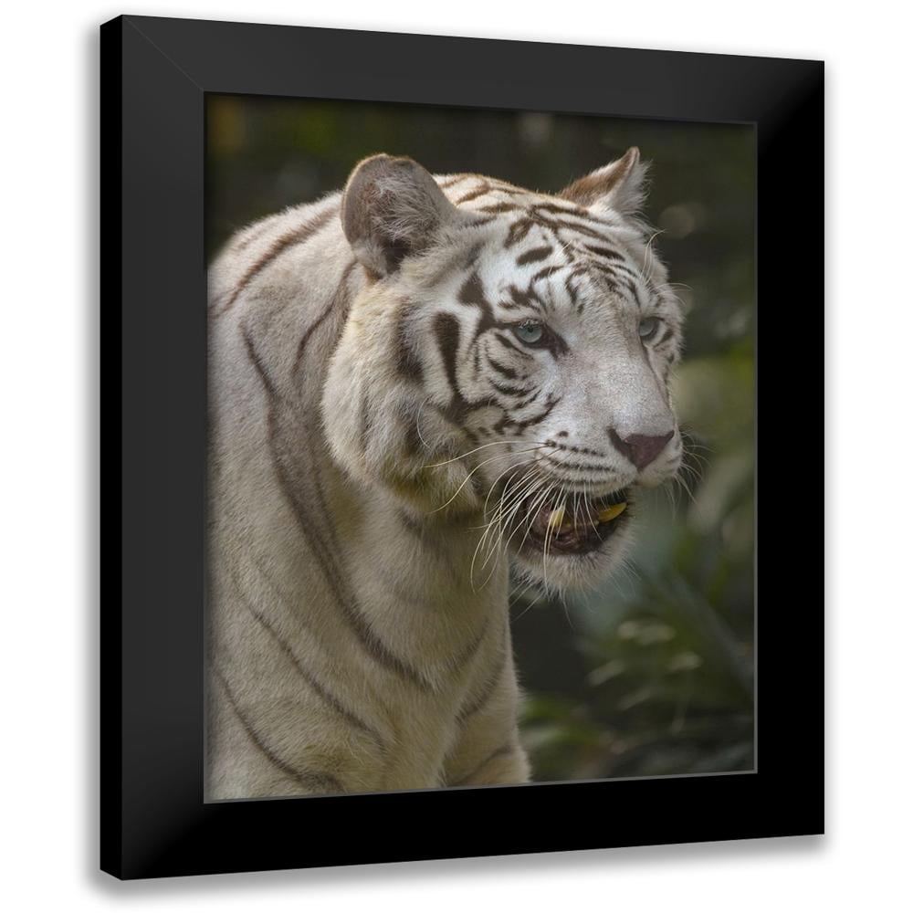 Fitzharris, Tim 15x18 Black Modern Framed Museum Art Print Titled ...