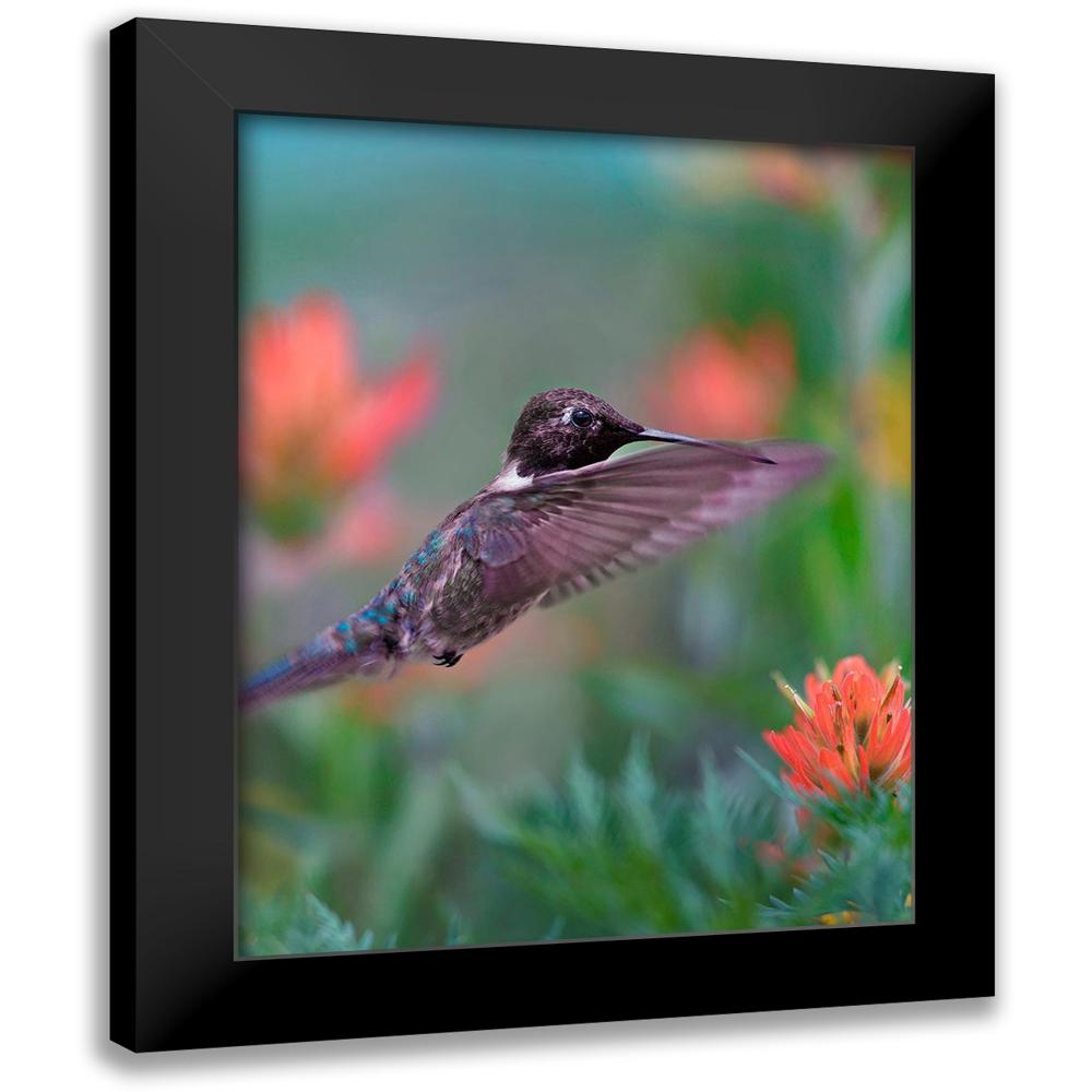 Fitzharris, Tim 15x18 Black Modern Framed Museum Art Print Titled ...