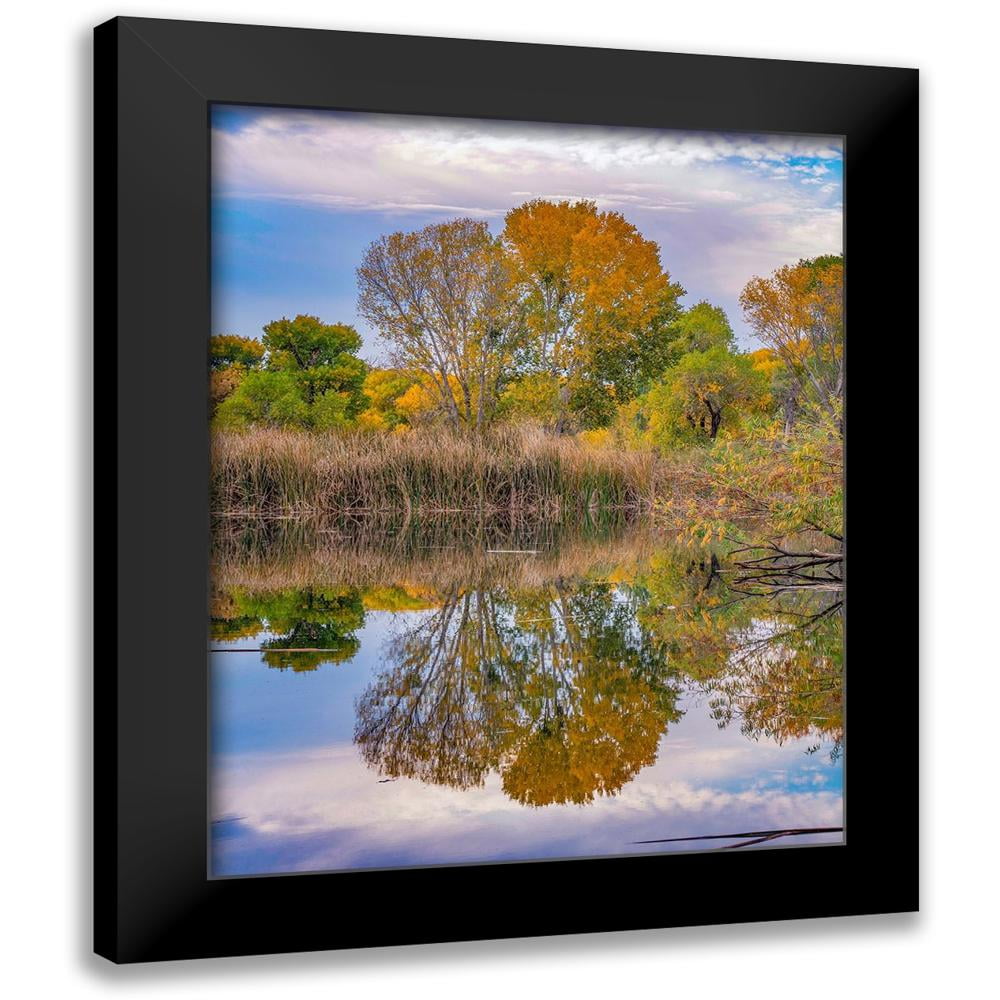 Fitzharris, Tim 15x18 Black Modern Framed Museum Art Print Titled ...