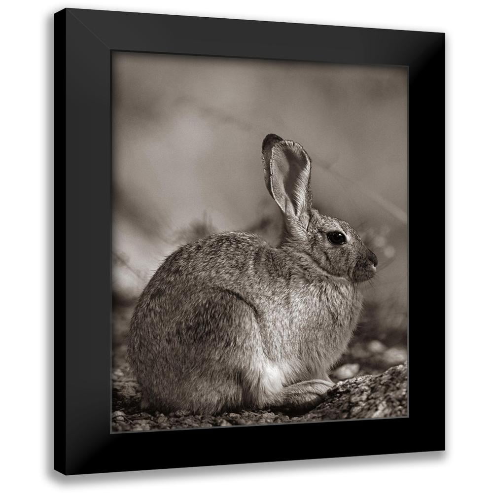 Fitzharris, Tim 15x18 Black Modern Framed Museum Art Print Titled ...