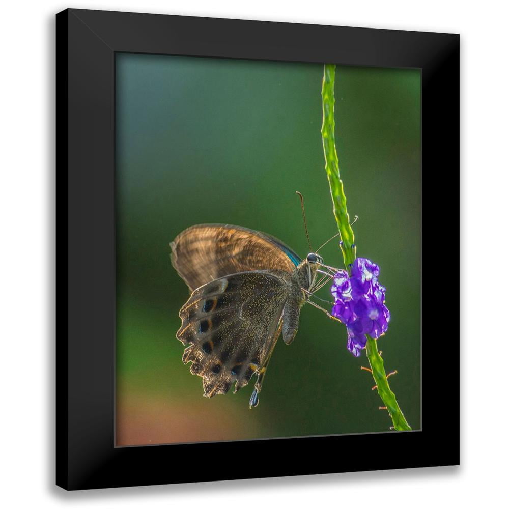 Fitzharris, Tim 15x18 Black Modern Framed Museum Art Print Titled ...