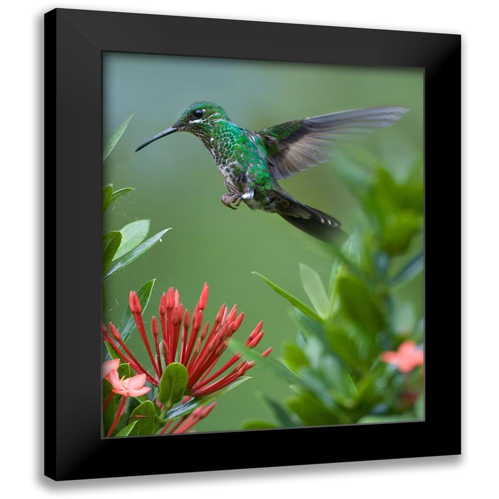 Fitzharris, Tim 15x18 Black Modern Framed Museum Art Print Titled ...