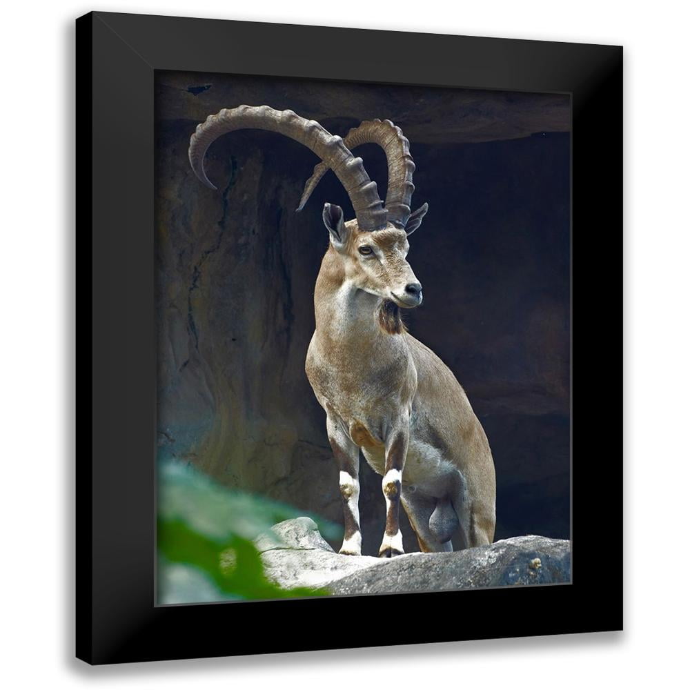 Fitzharris, Tim 15x18 Black Modern Framed Museum Art Print Titled ...