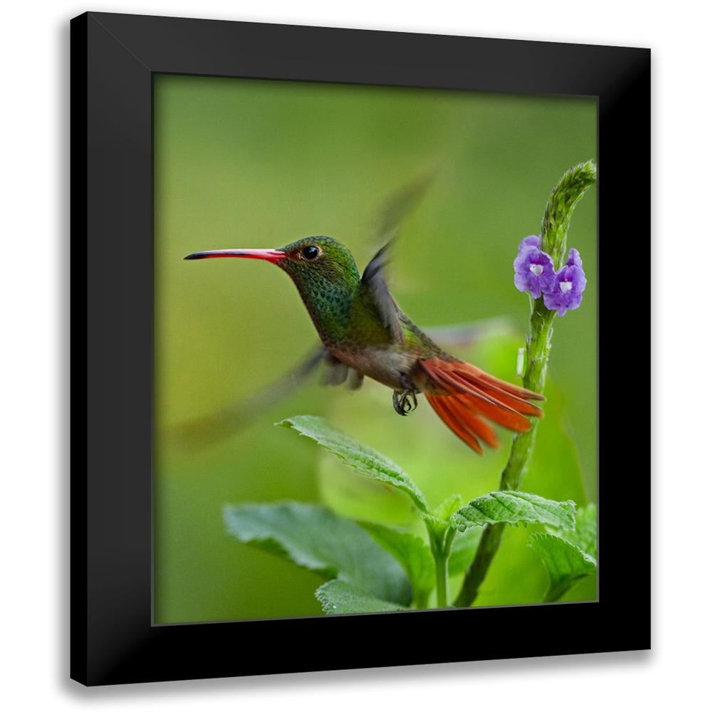 Fitzharris, Tim 15x18 Black Modern Framed Museum Art Print Titled ...