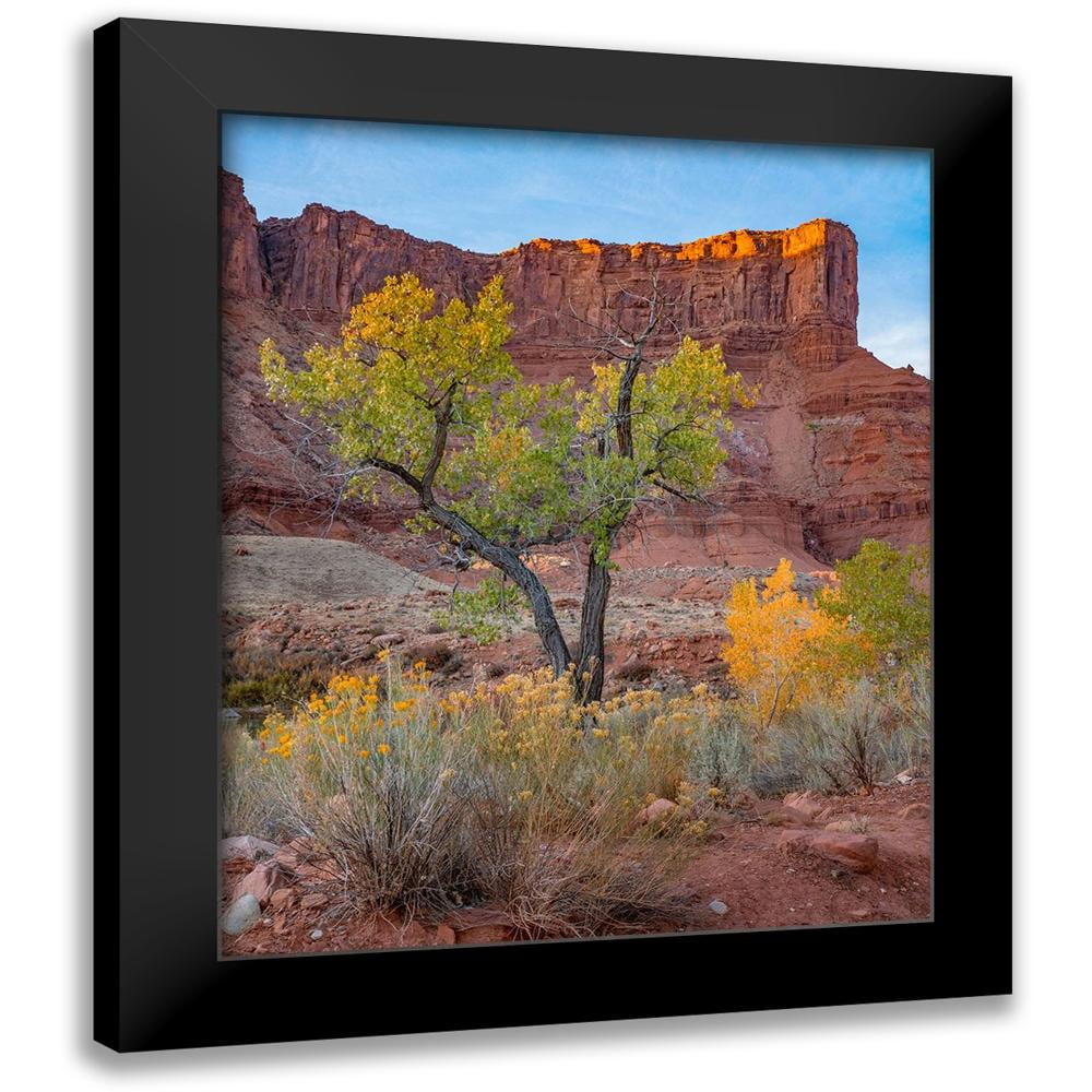 Fitzharris, Tim 15x18 Black Modern Framed Museum Art Print Titled ...