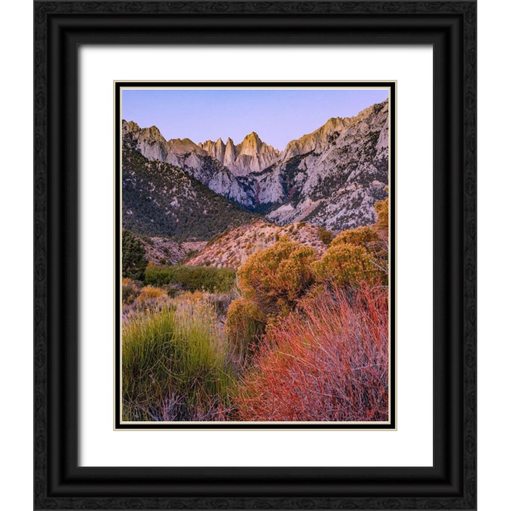 Fitzharris, Tim 15x18 Black Ornate Wood Framed with Double Matting ...