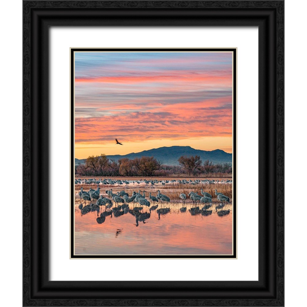 Fitzharris, Tim 15x18 Black Ornate Wood Framed with Double Matting ...