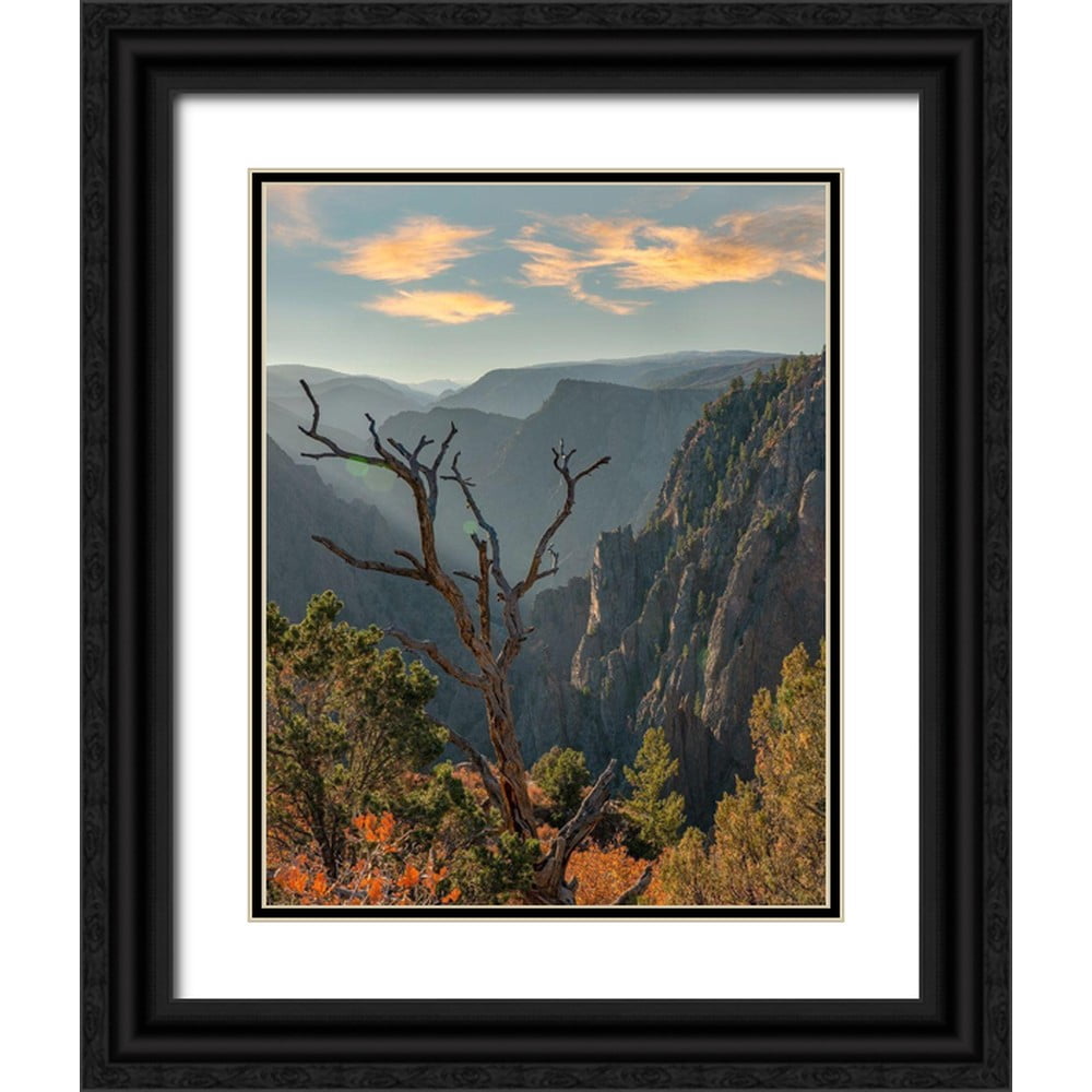 Fitzharris, Tim 15x18 Black Ornate Wood Framed with Double Matting ...