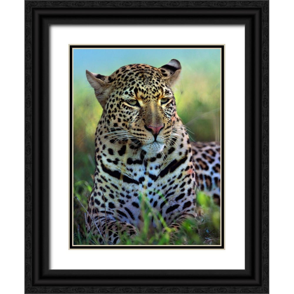 Fitzharris, Tim 15x18 Black Ornate Wood Framed with Double Matting ...