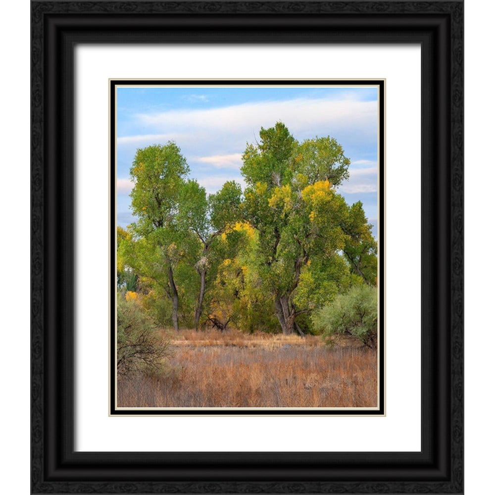 Fitzharris, Tim 15x18 Black Ornate Wood Framed with Double Matting ...