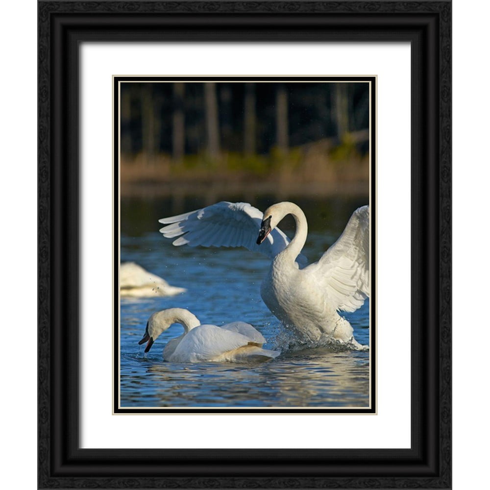 Fitzharris, Tim 15x18 Black Ornate Wood Framed with Double Matting ...