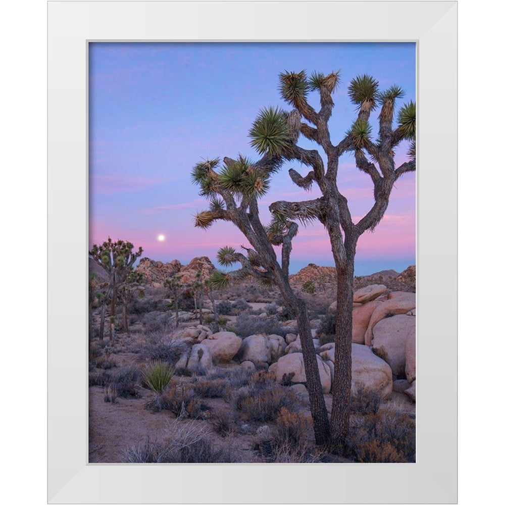 Fitzharris, Tim 15x18 White Modern Wood Framed Museum Art Print Titled ...