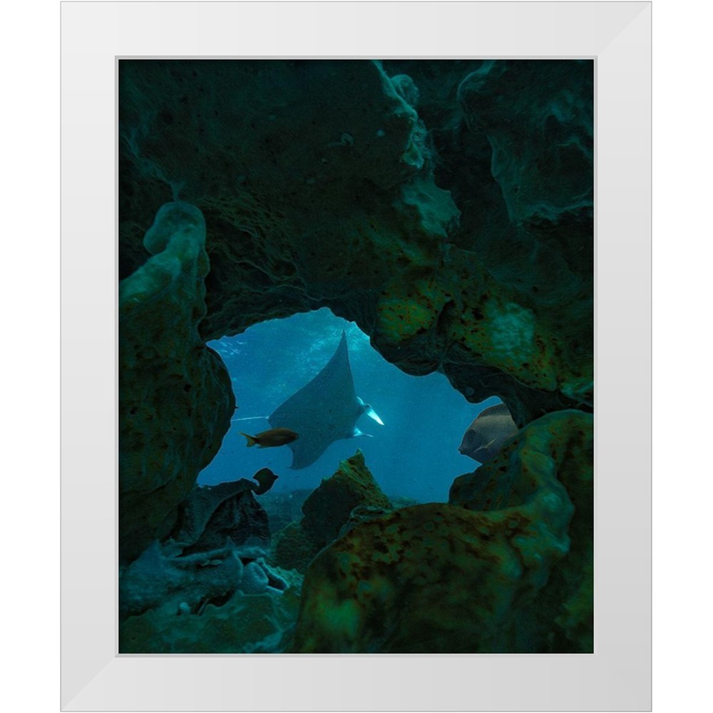 Fitzharris, Tim 15x18 White Modern Wood Framed Museum Art Print Titled ...