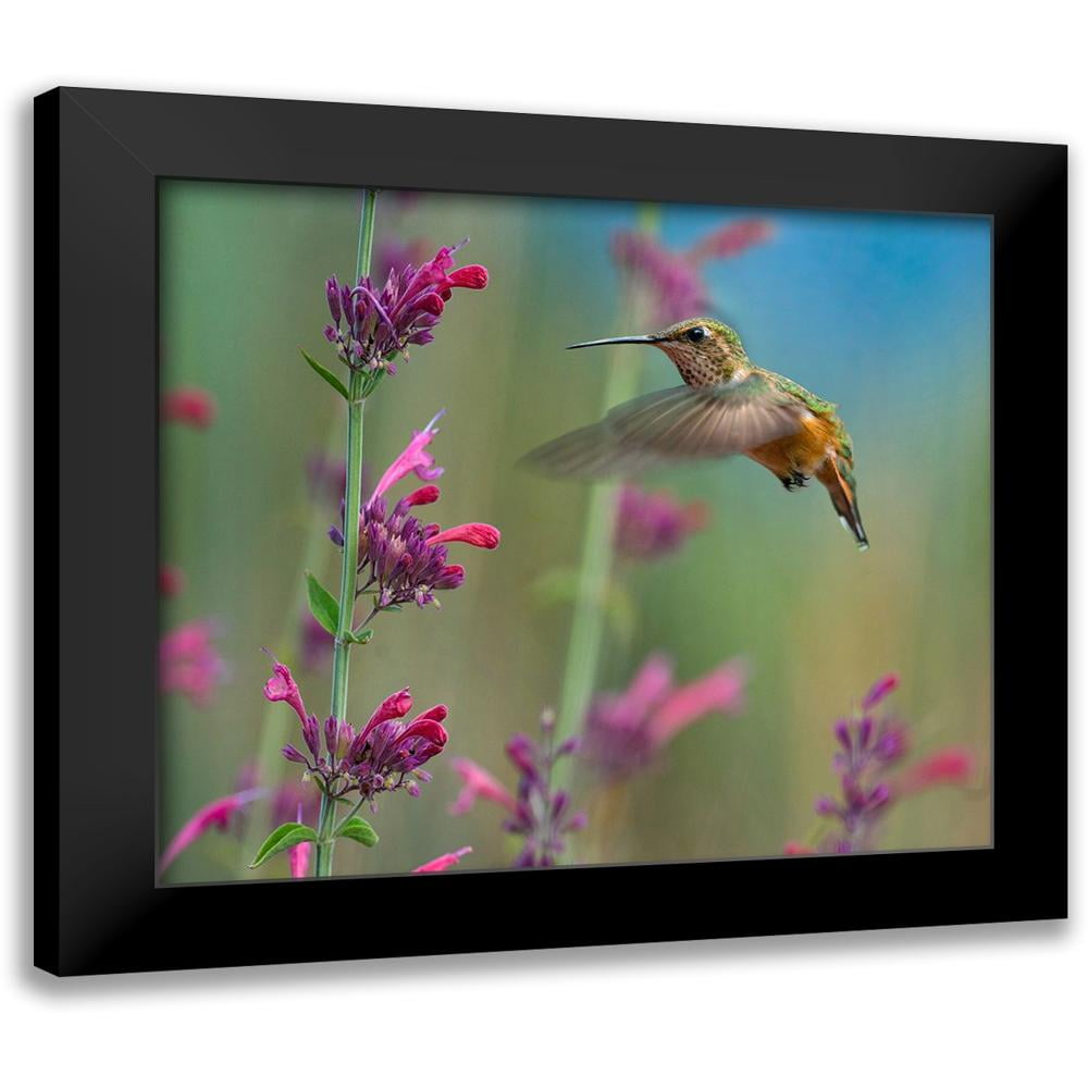 Fitzharris, Tim 17x15 Black Modern Framed Museum Art Print Titled ...