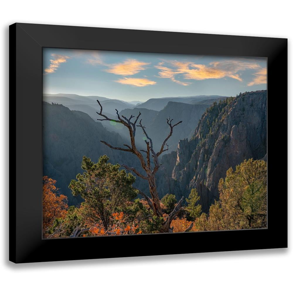 Fitzharris, Tim 17x15 Black Modern Framed Museum Art Print Titled ...