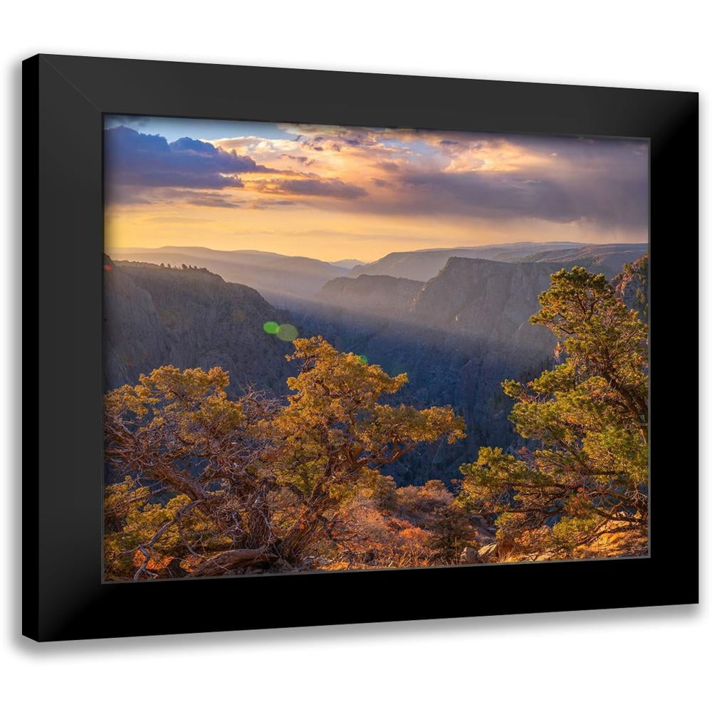 Fitzharris, Tim 17x15 Black Modern Framed Museum Art Print Titled ...