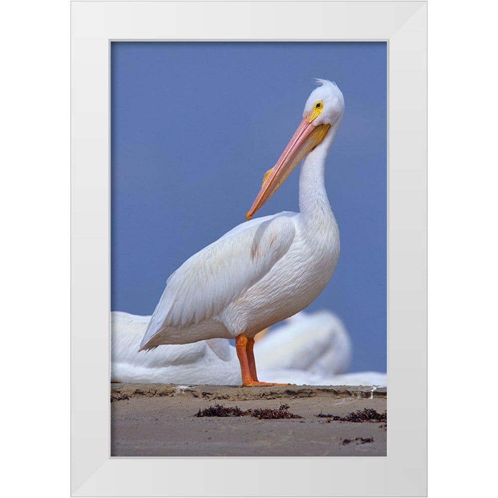Fitzharris, Tim 17x24 White Modern Wood Framed Museum Art Print Titled ...