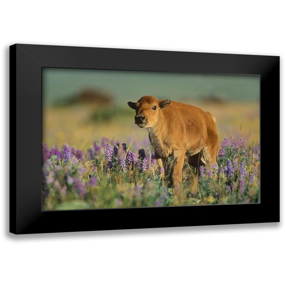 Fitzharris, Tim 18x13 Black Modern Framed Museum Art Print Titled ...