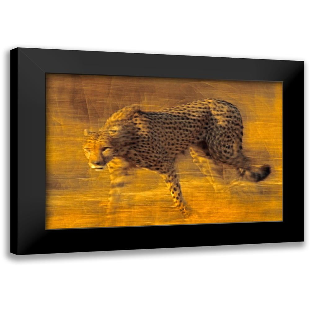 Fitzharris, Tim 18x13 Black Modern Framed Museum Art Print Titled ...