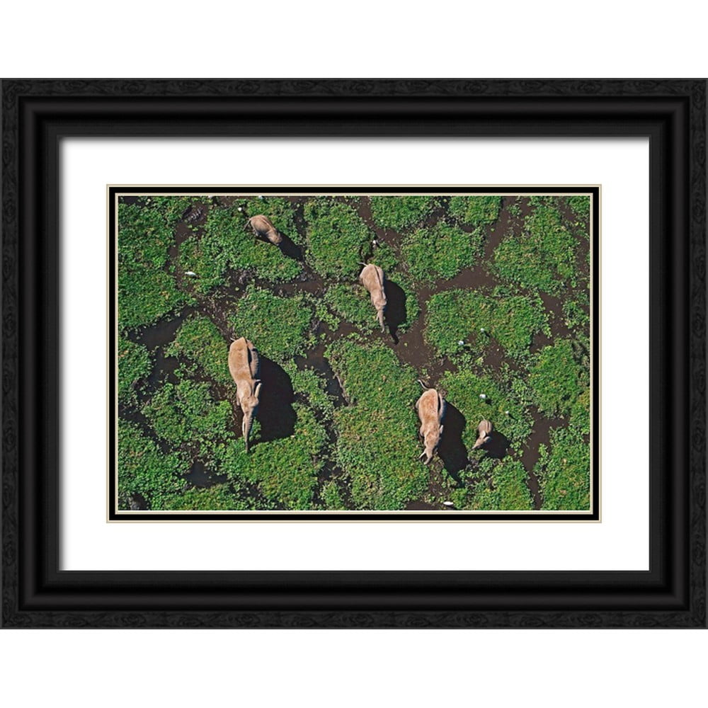 Fitzharris, Tim 18x13 Black Ornate Wood Framed with Double Matting ...