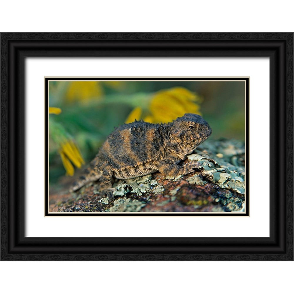 Fitzharris, Tim 18x13 Black Ornate Wood Framed with Double Matting ...