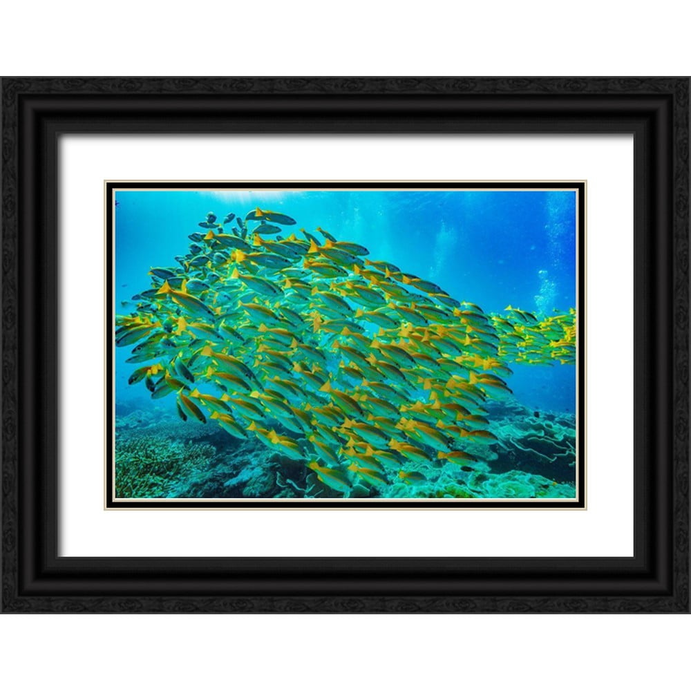 Fitzharris, Tim 18x13 Black Ornate Wood Framed with Double Matting Museum Art Print Titled ...