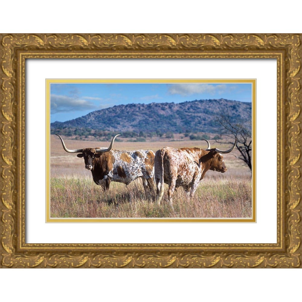 Fitzharris, Tim 18x13 Gold Ornate Wood Framed with Double Matting ...