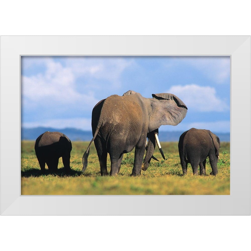 Fitzharris, Tim 18x13 White Modern Wood Framed Museum Art Print Titled ...