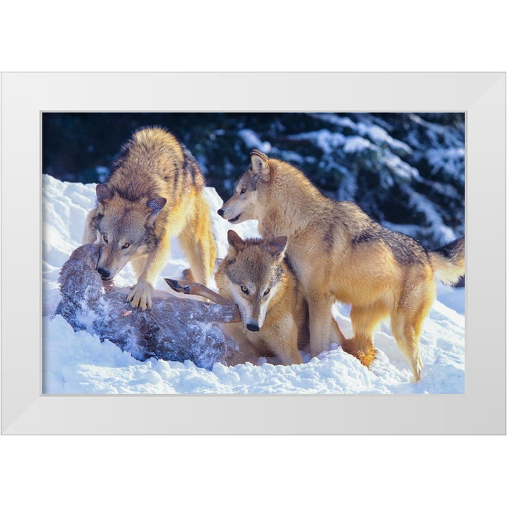 Fitzharris, Tim 18x13 White Modern Wood Framed Museum Art Print Titled ...