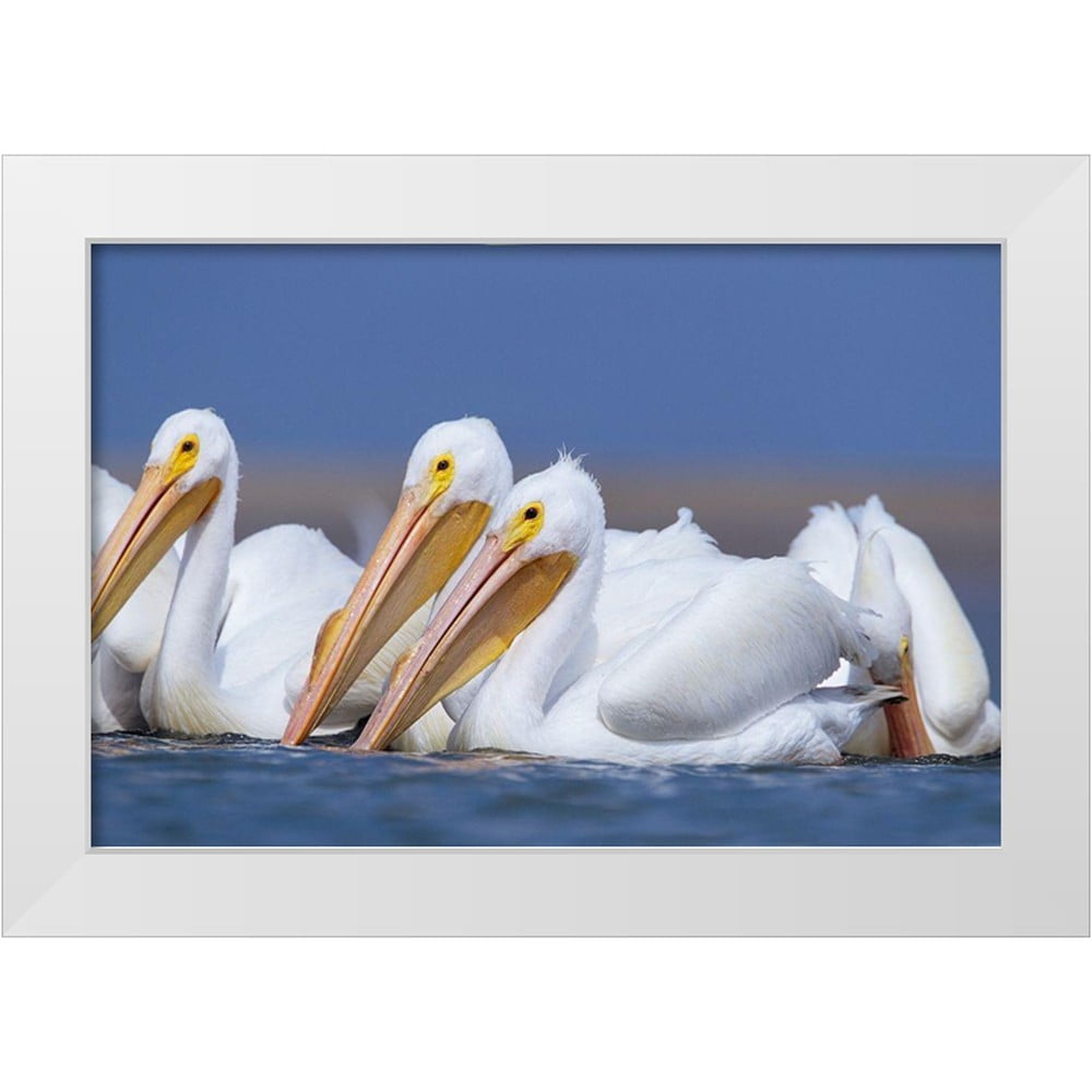 Fitzharris, Tim 18x13 White Modern Wood Framed Museum Art Print Titled ...