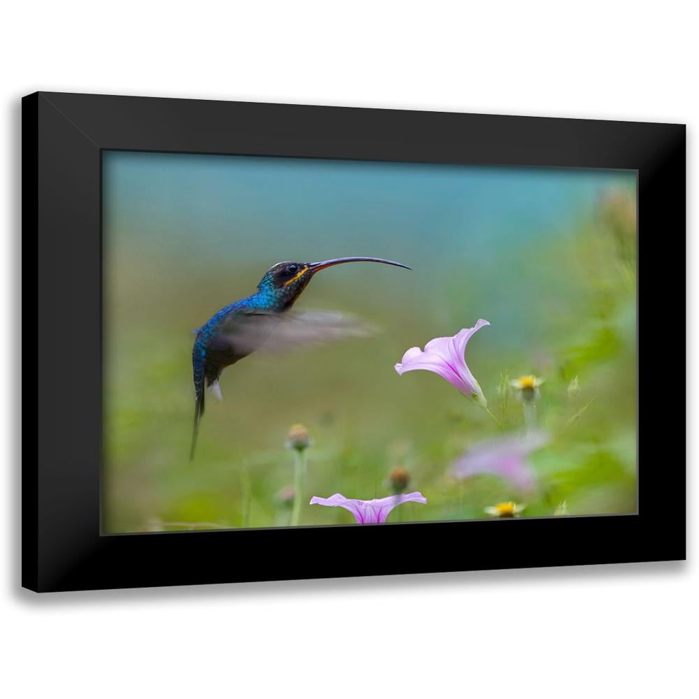 Fitzharris, Tim 18x14 Black Modern Framed Museum Art Print Titled ...