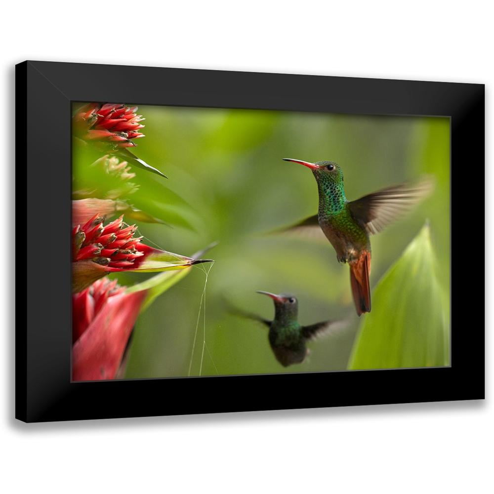 Fitzharris, Tim 18x14 Black Modern Framed Museum Art Print Titled ...