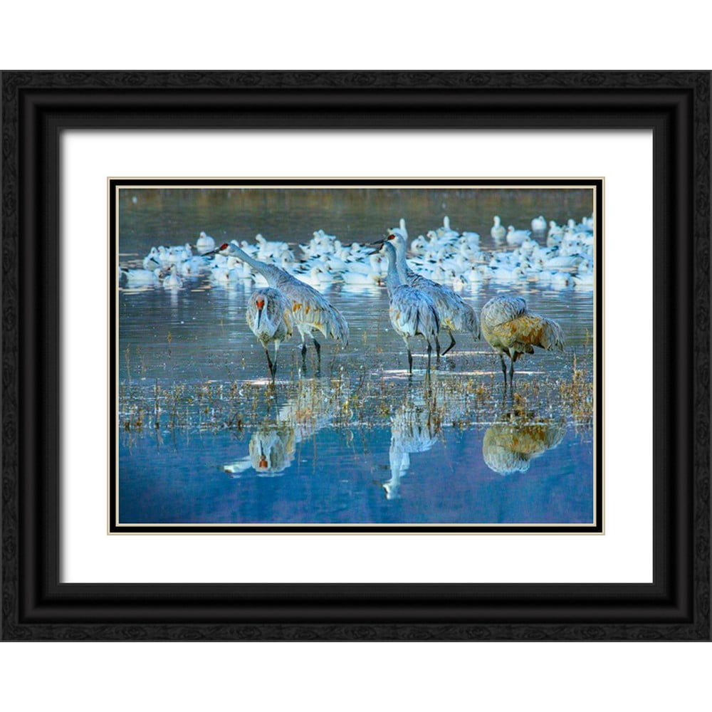 Fitzharris, Tim 18x14 Black Ornate Wood Framed with Double Matting ...