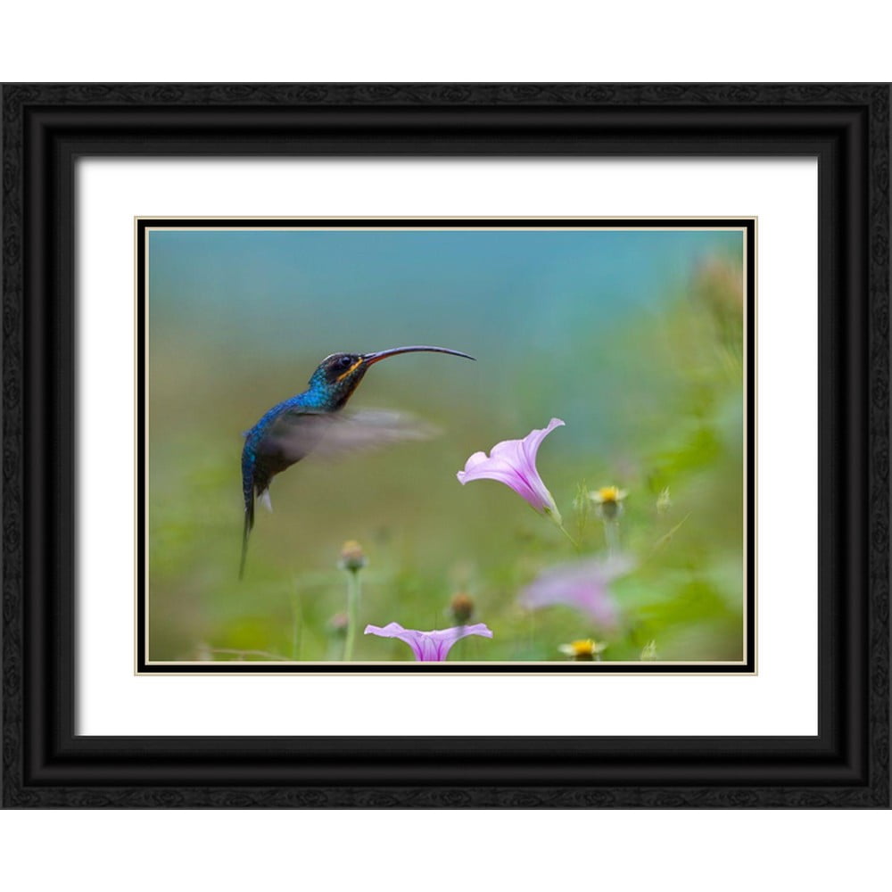 Fitzharris, Tim 18x14 Black Ornate Wood Framed with Double Matting ...