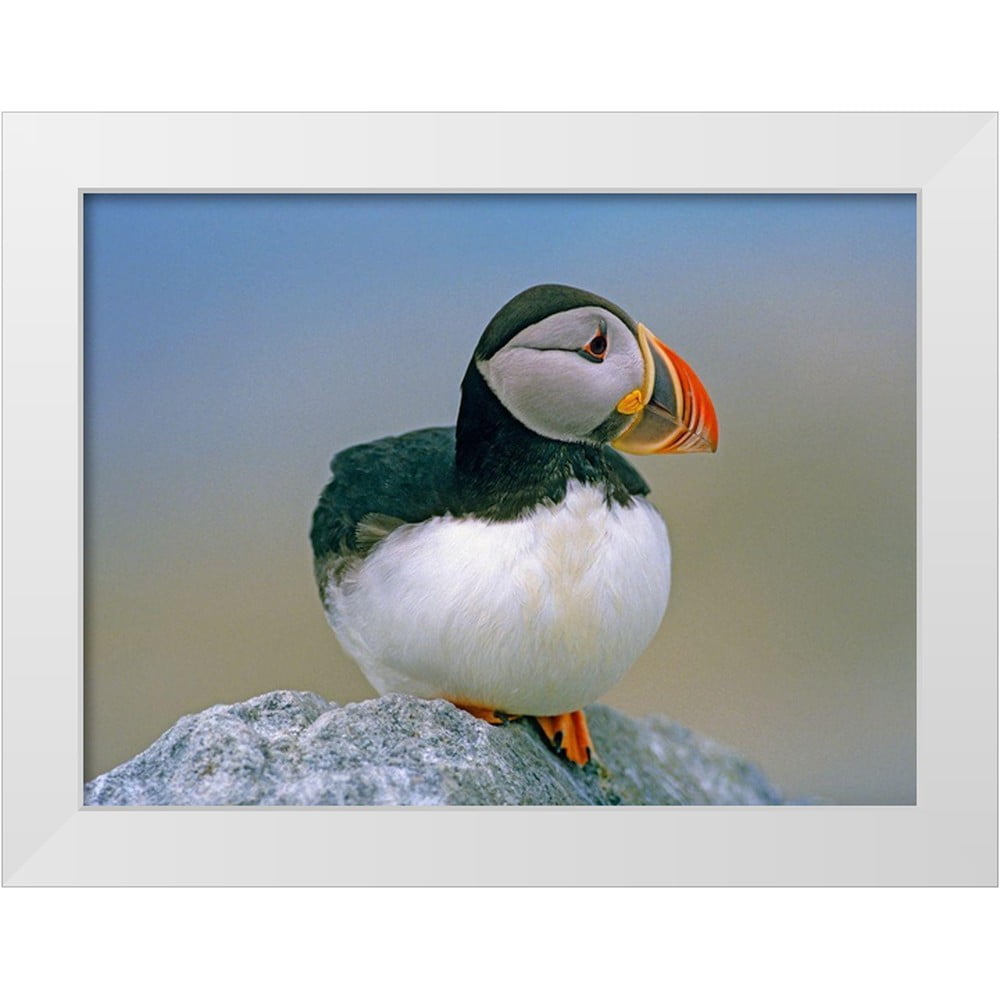 Fitzharris, Tim 18x14 White Modern Wood Framed Museum Art Print Titled ...