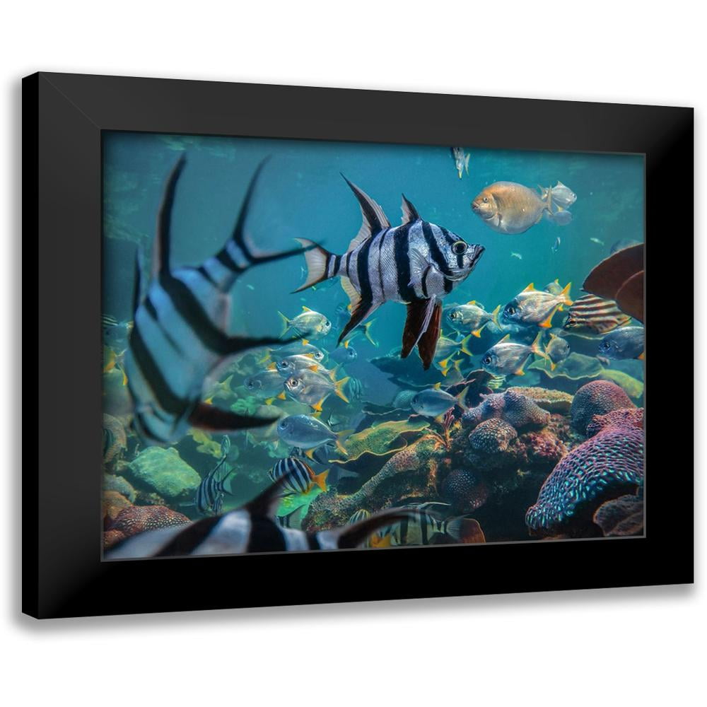 Fitzharris, Tim 18x15 Black Modern Framed Museum Art Print Titled ...