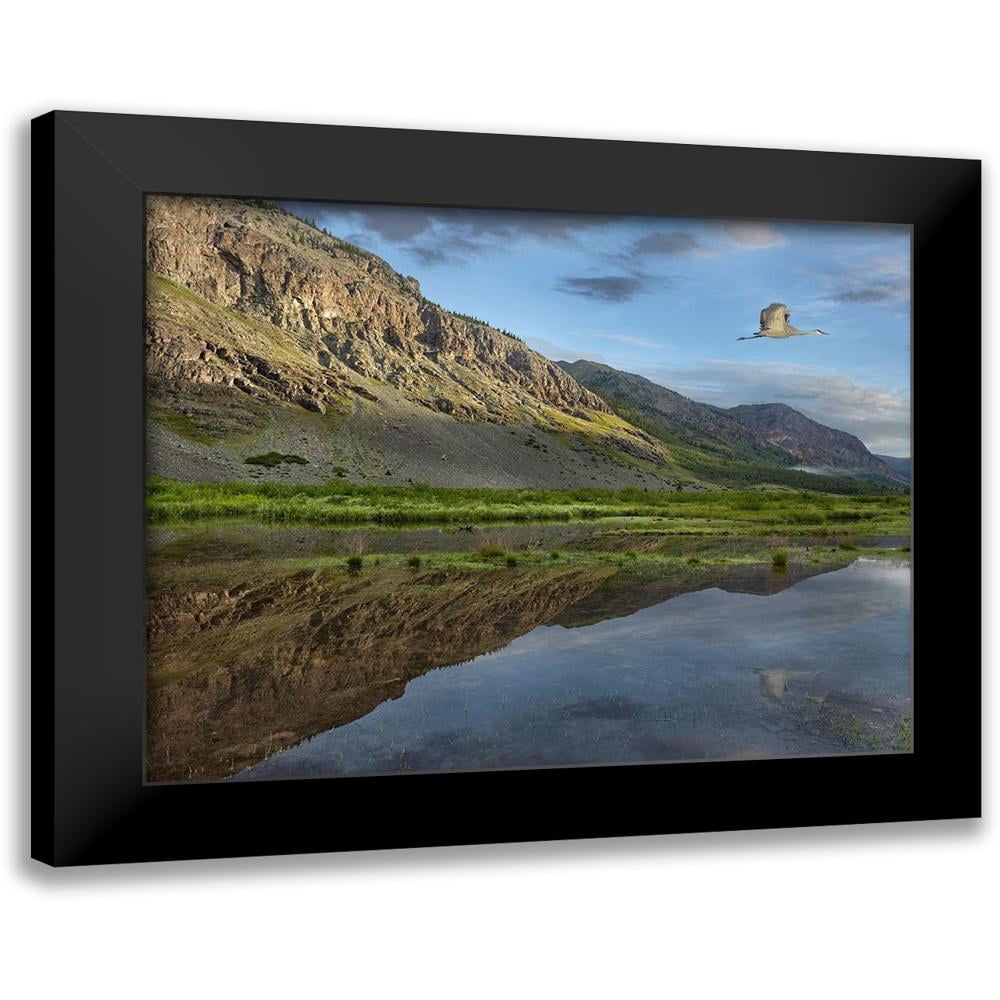 Fitzharris, Tim 18x15 Black Modern Framed Museum Art Print Titled ...