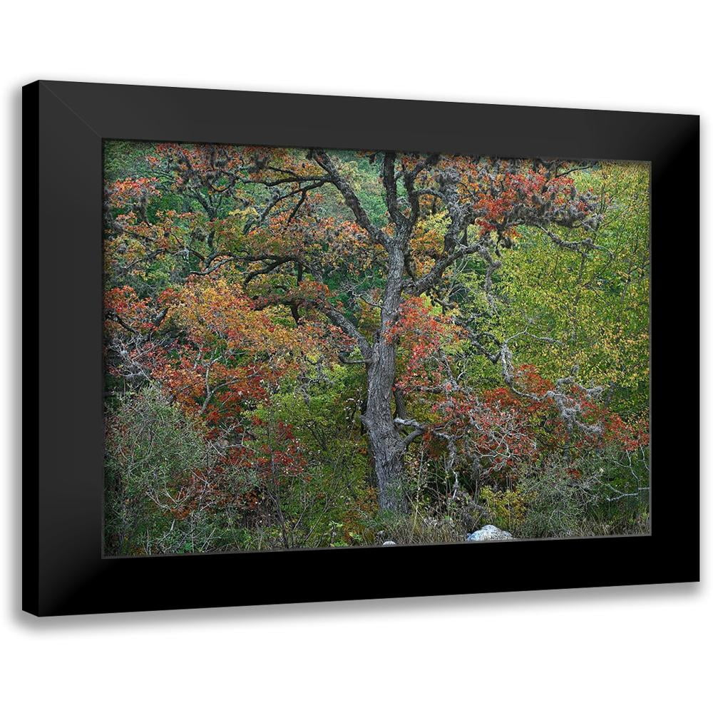 Fitzharris, Tim 18x15 Black Modern Framed Museum Art Print Titled ...