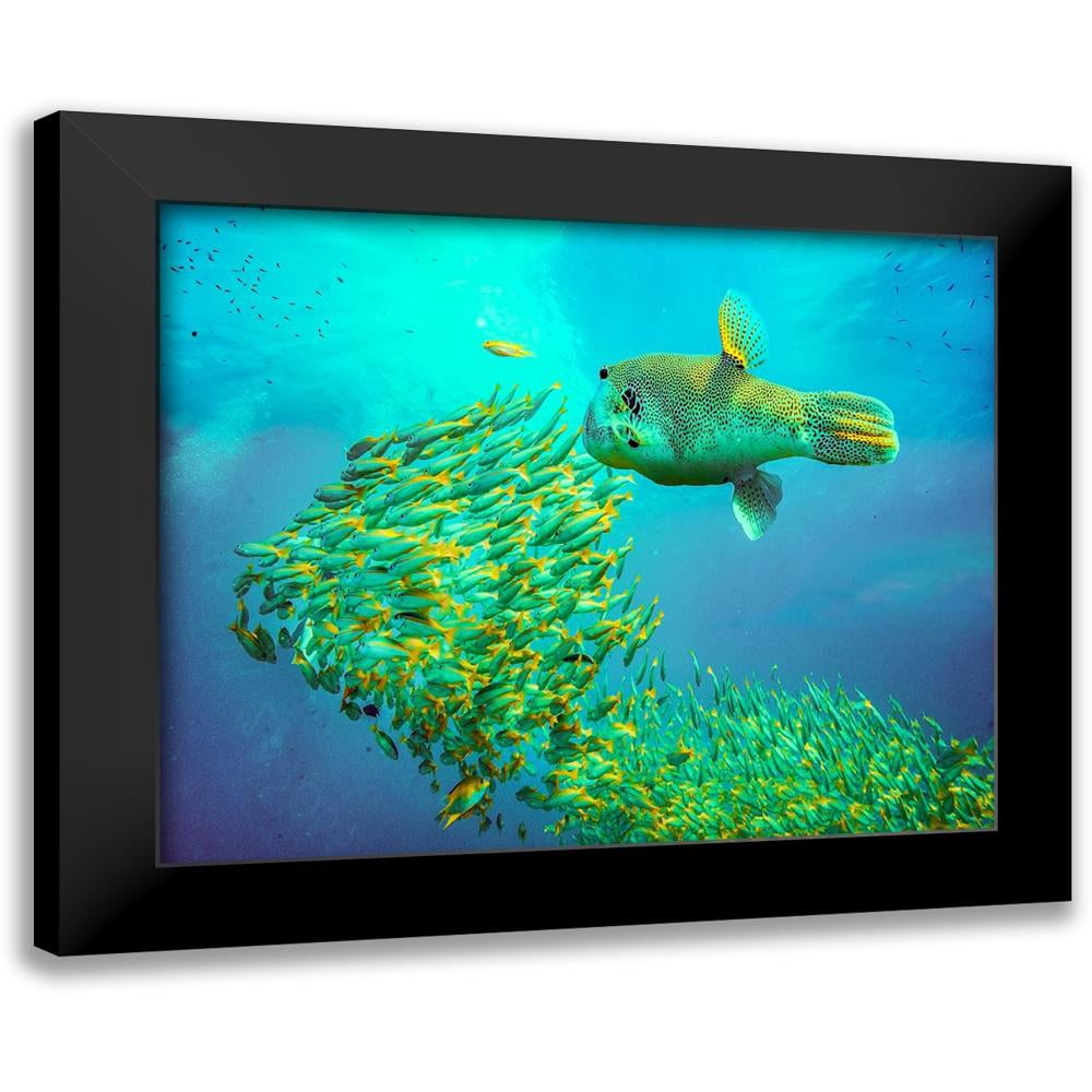 Fitzharris, Tim 18x15 Black Modern Framed Museum Art Print Titled ...