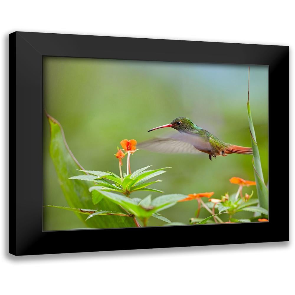 Fitzharris, Tim 18x15 Black Modern Framed Museum Art Print Titled ...