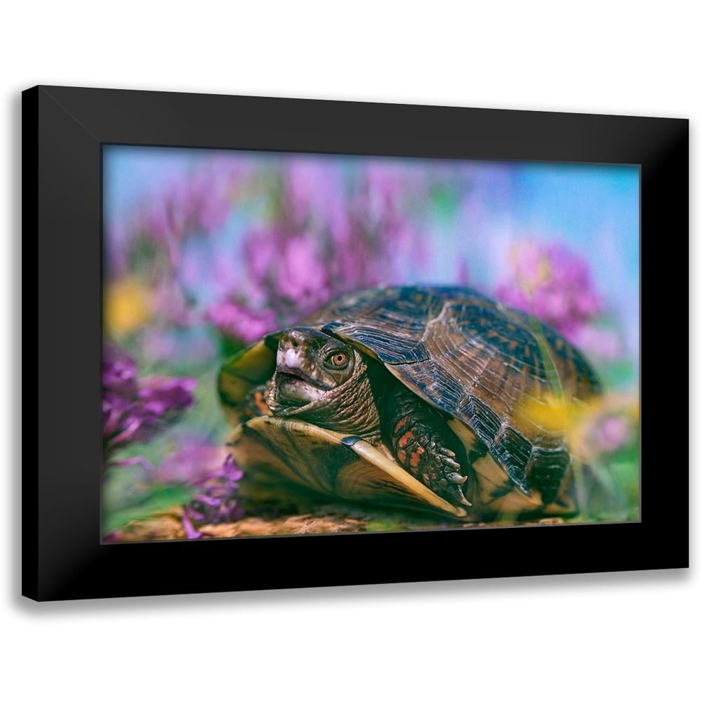 Fitzharris, Tim 18x15 Black Modern Framed Museum Art Print Titled ...