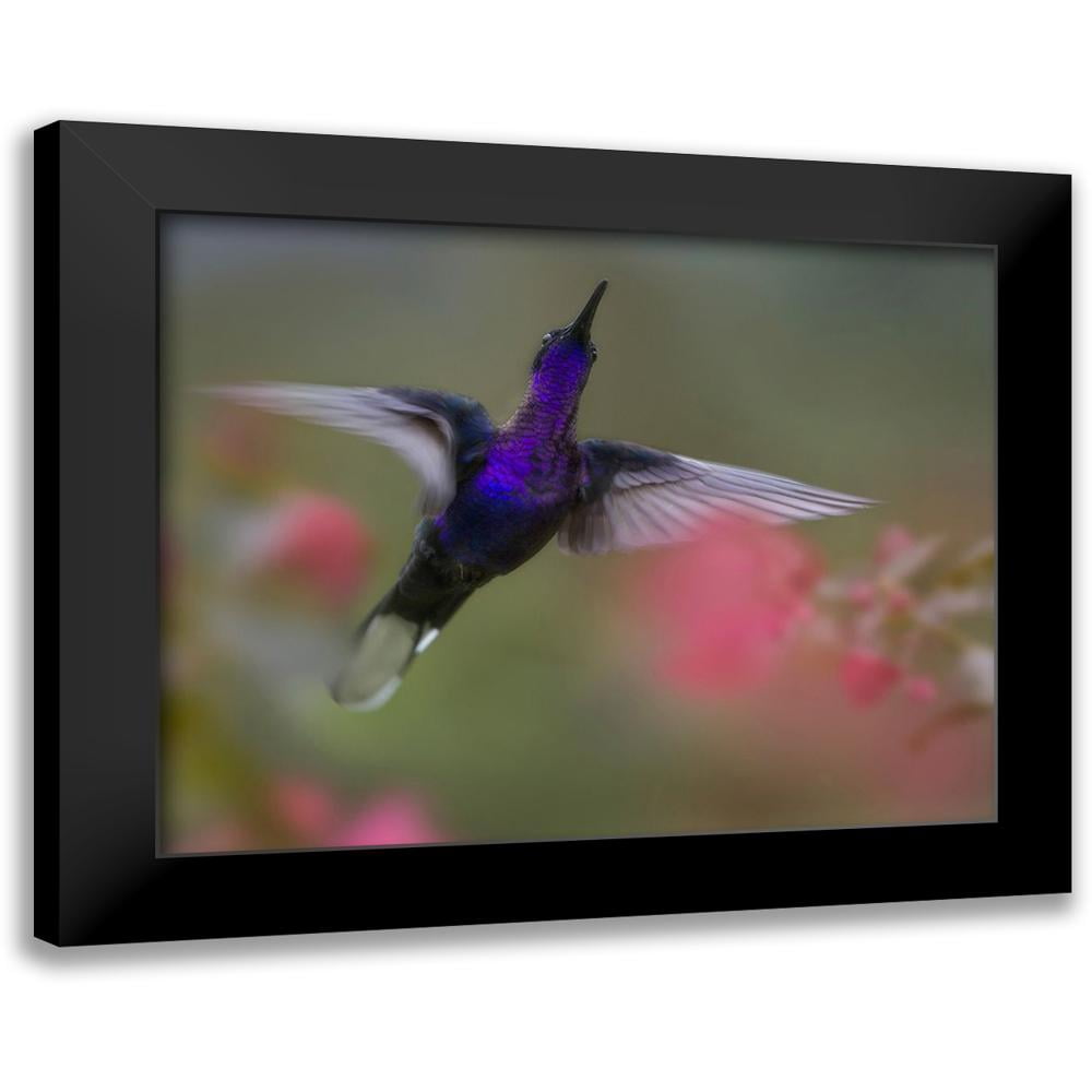 Fitzharris, Tim 18x15 Black Modern Framed Museum Art Print Titled ...