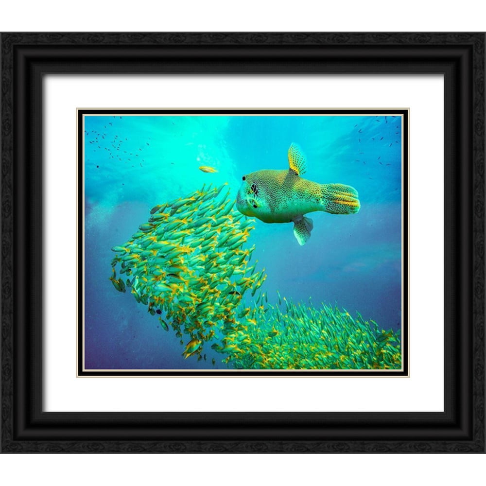 Fitzharris, Tim 18x15 Black Ornate Wood Framed with Double Matting ...