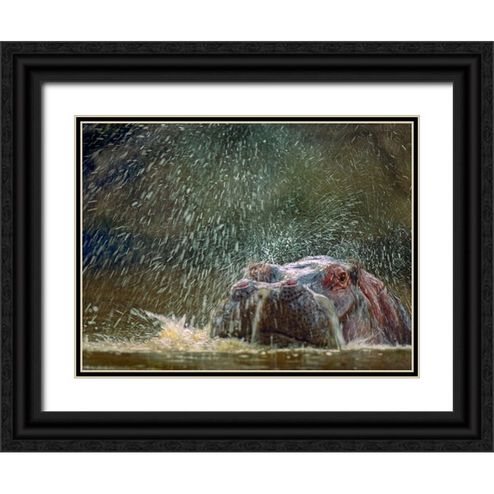 Fitzharris, Tim 18x15 Black Ornate Wood Framed with Double Matting ...