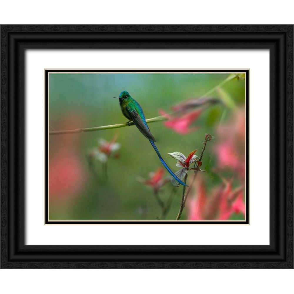 Fitzharris, Tim 18x15 Black Ornate Wood Framed with Double Matting ...