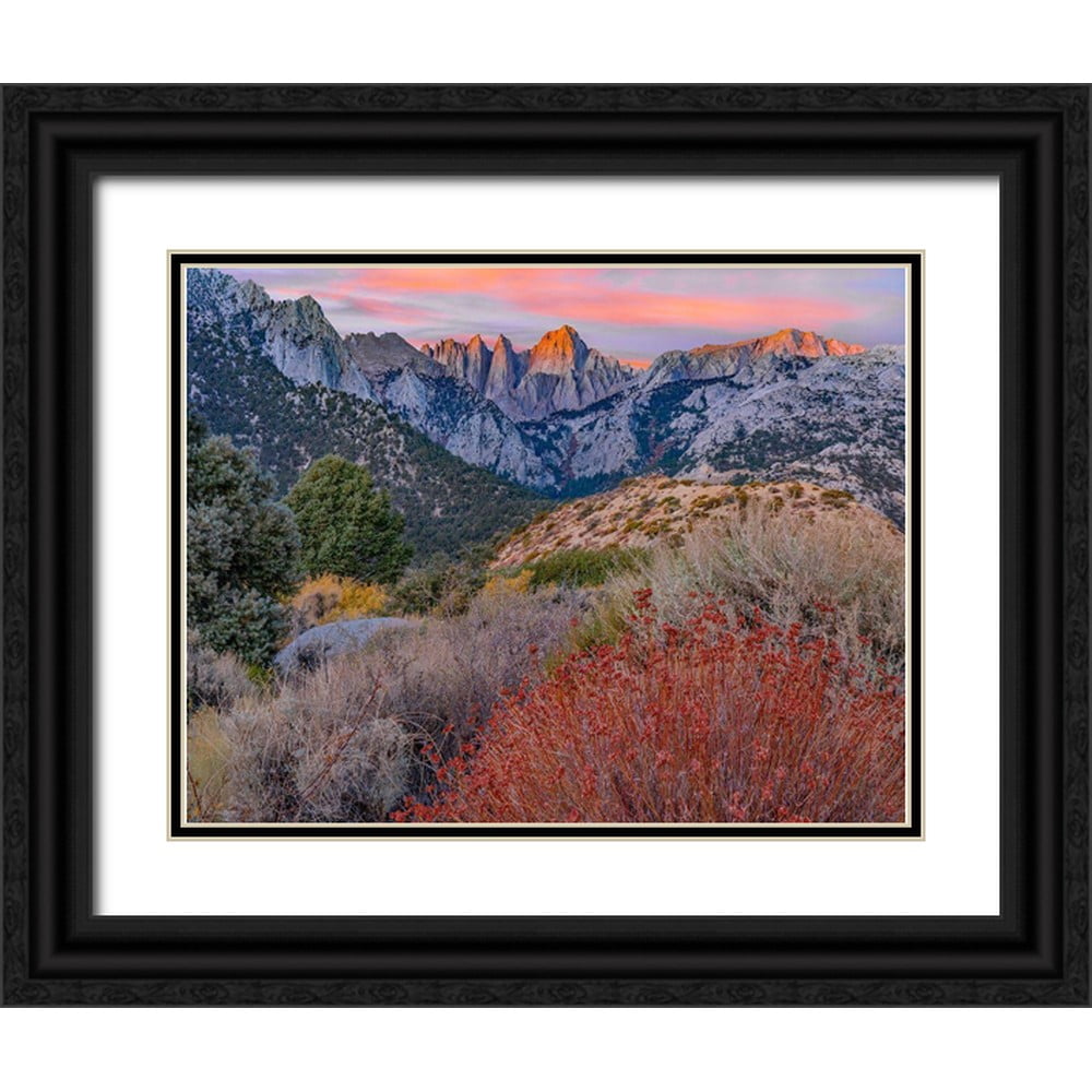 Fitzharris, Tim 18x15 Black Ornate Wood Framed with Double Matting ...