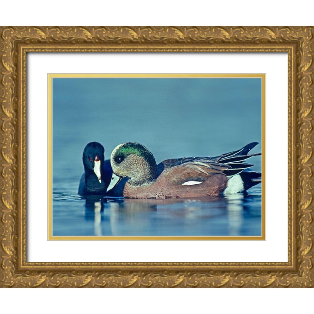 Fitzharris, Tim 18x15 Gold Ornate Wood Framed with Double Matting ...
