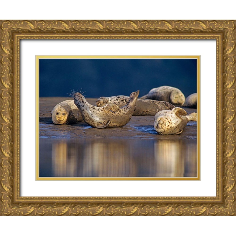 Fitzharris, Tim 18x15 Gold Ornate Wood Framed with Double Matting ...